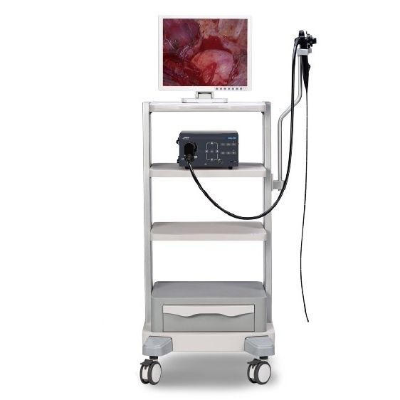 Video veterinary bronchoscope - Vetina ES3 - Shenzhen Mindray Animal ...