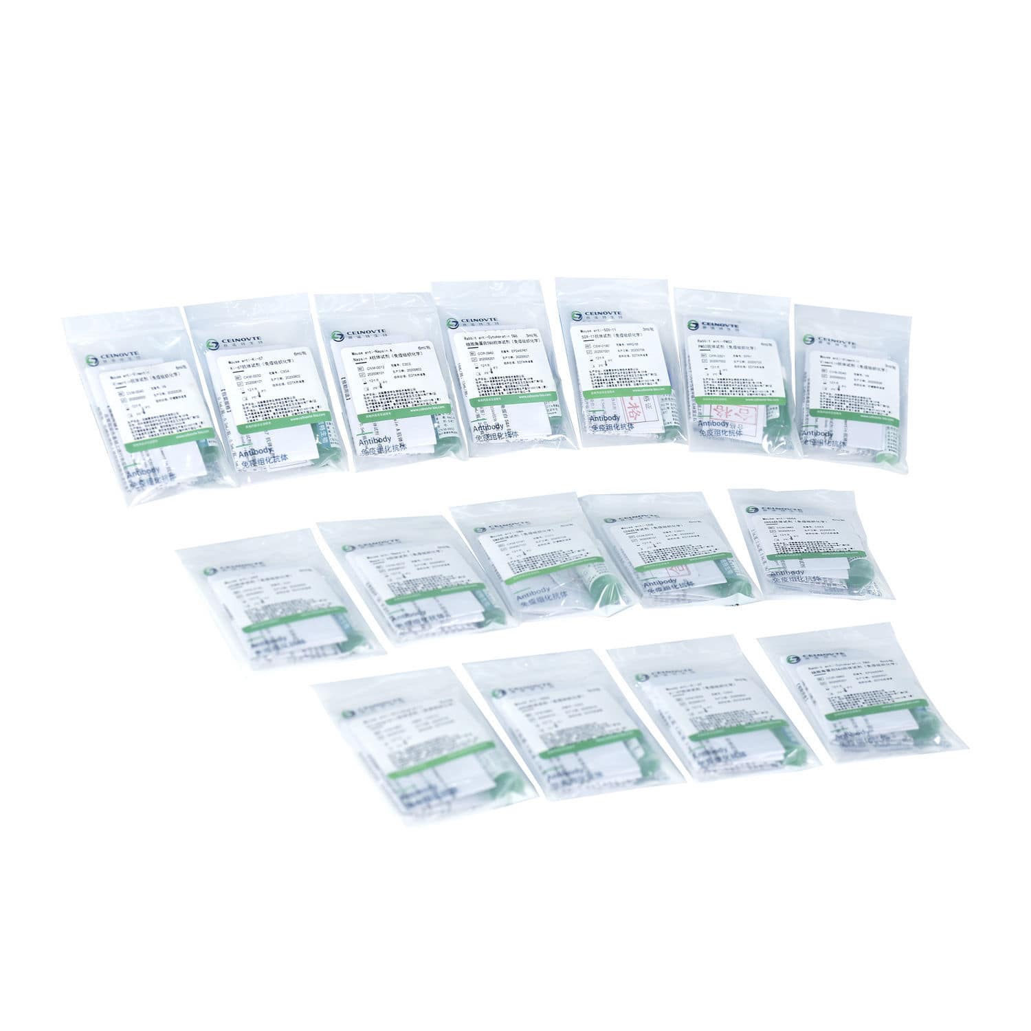 Monoclonal antibody - C-ERB-2 - Celnovte Biotechnology Co., Ltd ...