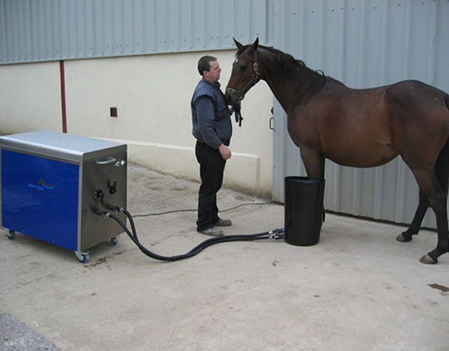 Equine veterinary spa - Mini-Spa® - Cet Equine Spa