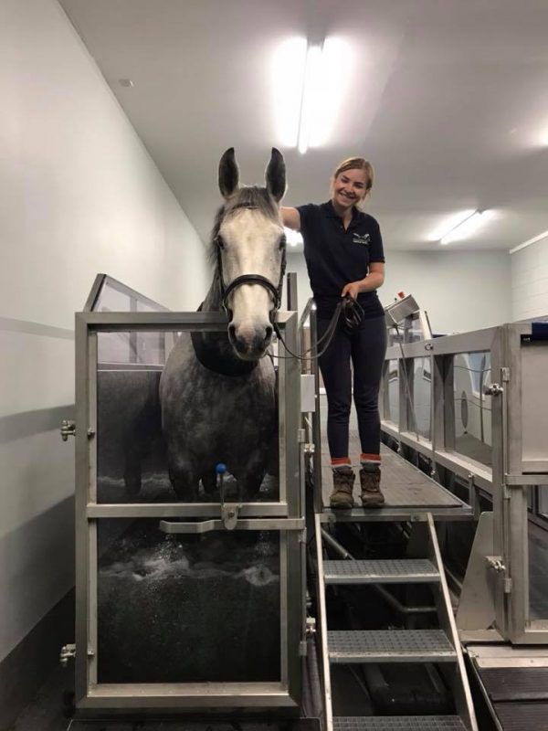Equine veterinary spa - FMBs