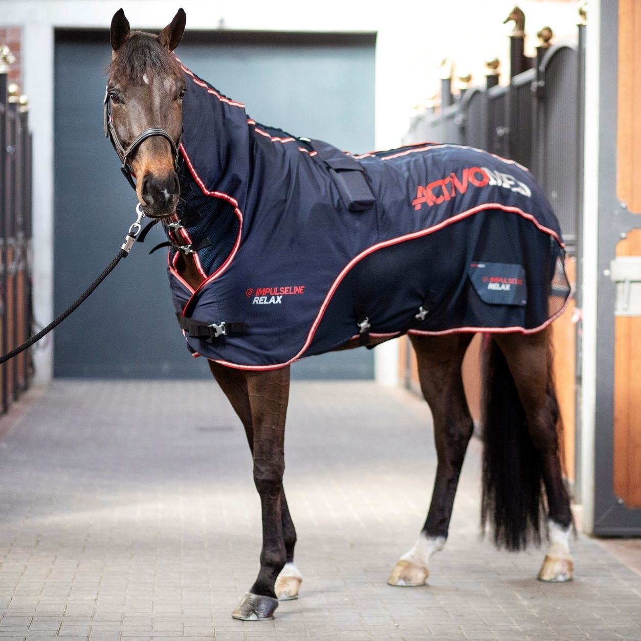 Equine Magnetotherapy unit - Activo-Med Relax - FMBs - wearable