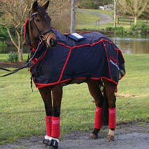 Equine Magnetotherapy unit - Combi Pro I.5 - FMBs - wearable