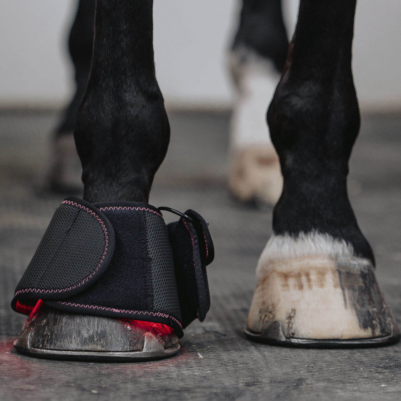 Mammal veterinary protective boot - Infrapower - FMBs