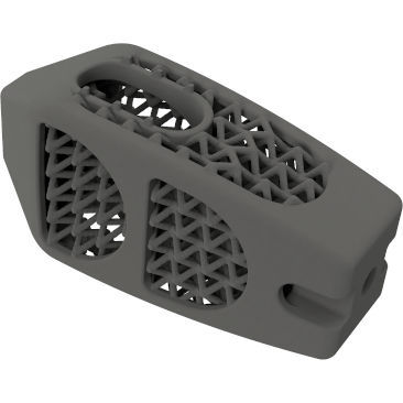 Lumbar interbody fusion cage - BMD PLIF GW ® - Global Biomedica ...