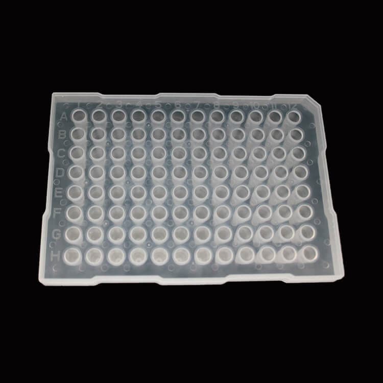 PCR microplate - YPP-0.2-HHST - Mountain Scientific Inc - for life ...