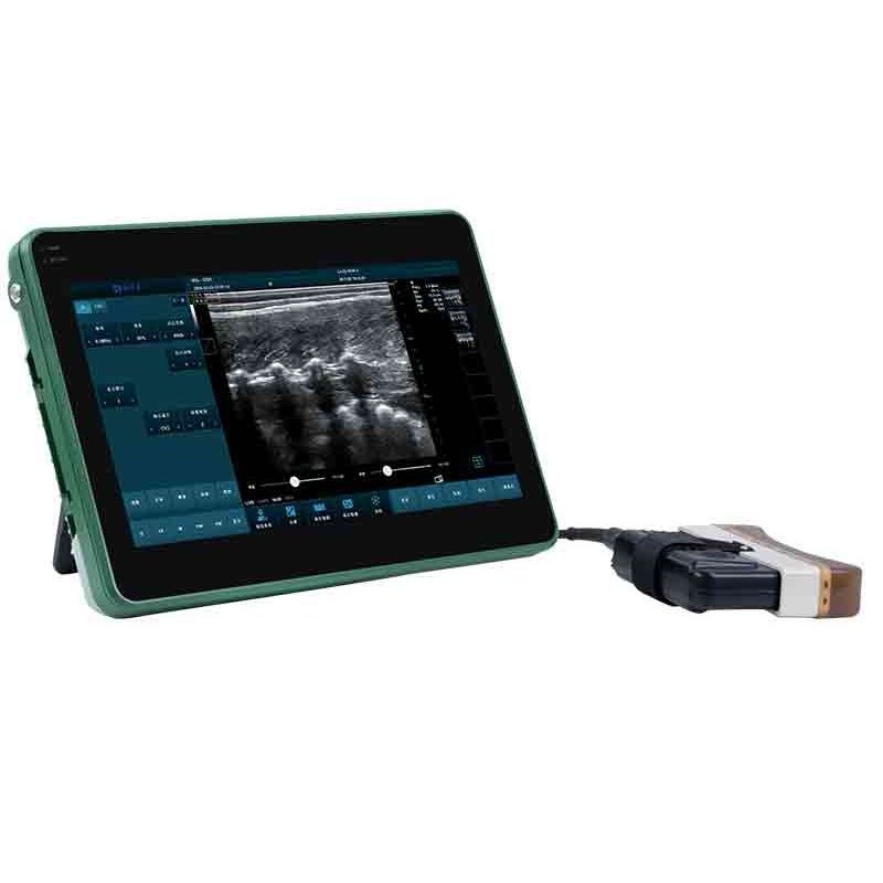 Cattle backfat scanner - BXL-DZ20 - Zhengzhou Boxianglai Electronic Sci ...