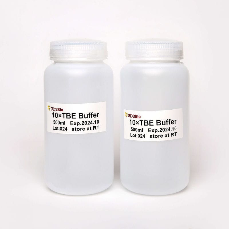 Buffer solution reagent - TBE - Guangzhou Dongsheng Biotech Co., Ltd ...