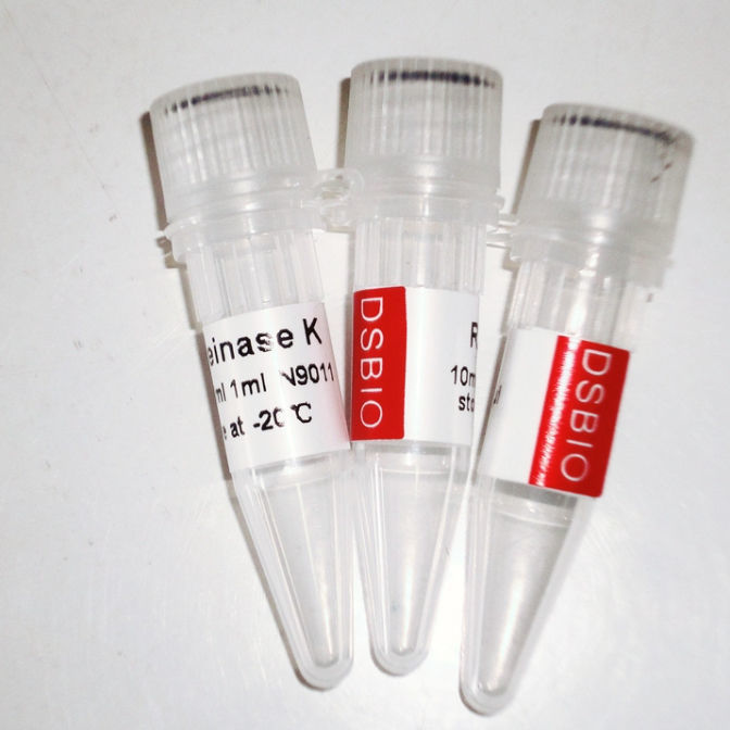 Enzyme reagent - N9012 - Guangzhou Dongsheng Biotech Co., Ltd ...