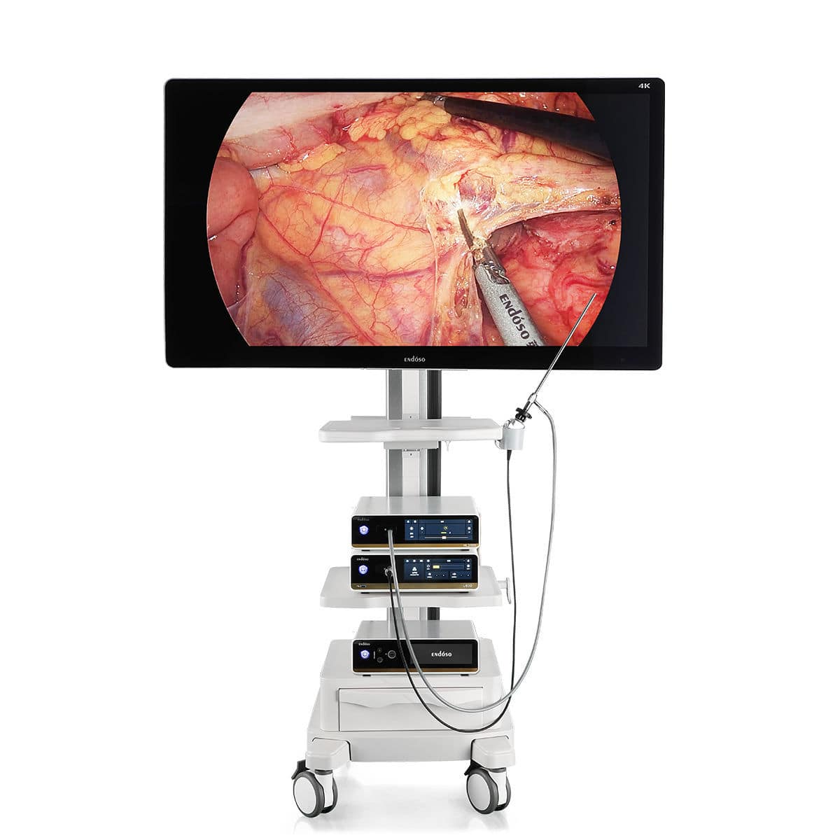 Surgical trolley - Endoso Life Technology - endoscopy / with monitor ...