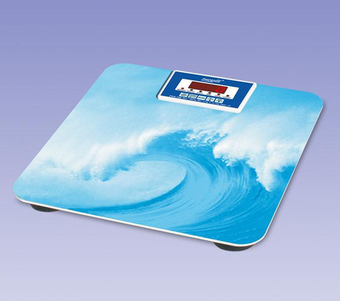 Precision patient weighing scale - PAS series - Nitiraj Engineers ...