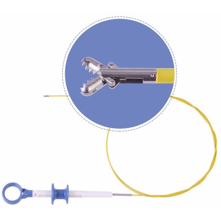Gastroenterology micro forceps - Biowin Pharmaceutical - endoscopy ...