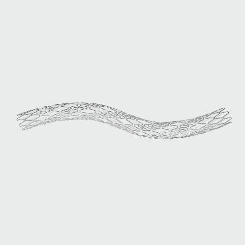 Coronary stent - BREED - Purple Microport - polymer