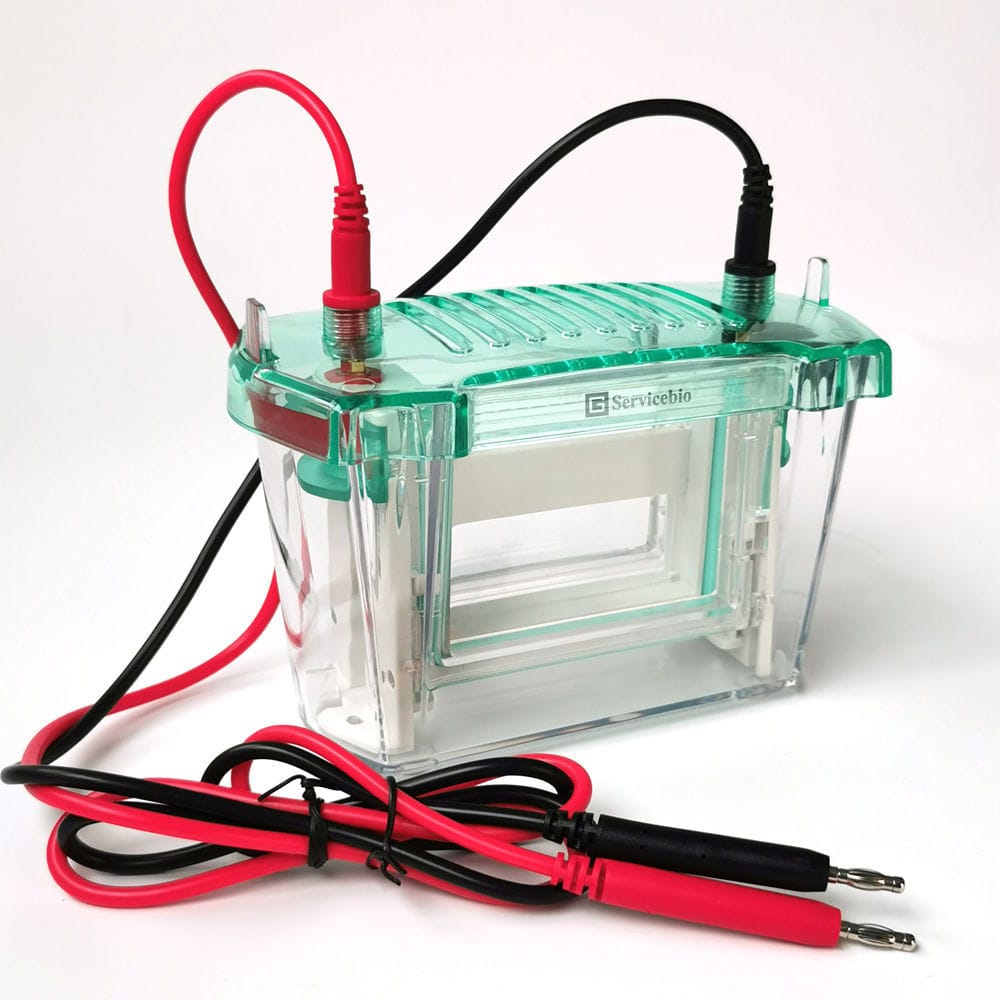 DNA electrophoresis tank - SVE-2 - Servicebio - for proteins / vertical