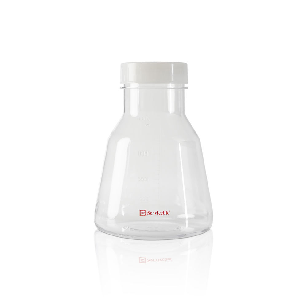 Laboratory flask - EF-PC-20001 - Servicebio - Erlenmeyer