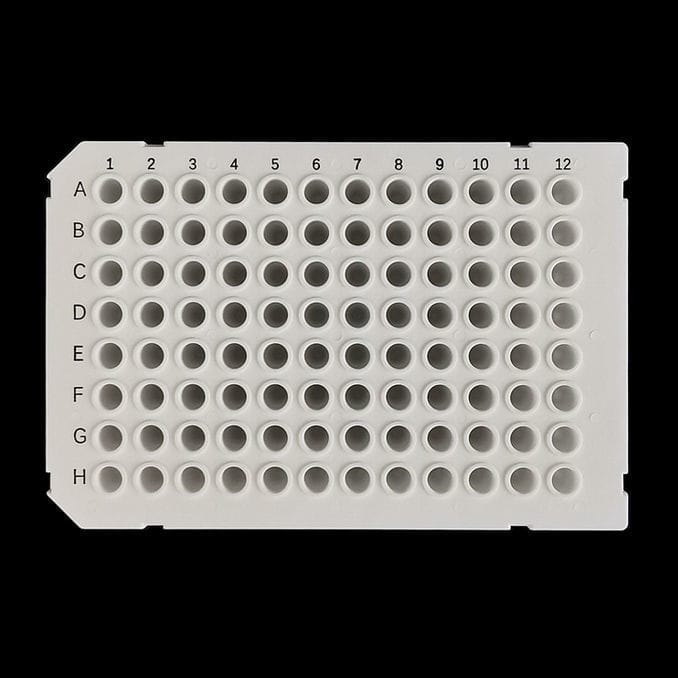 PCR microplate - PCR-9601W-HS - Servicebio - fluorescence / 96-well
