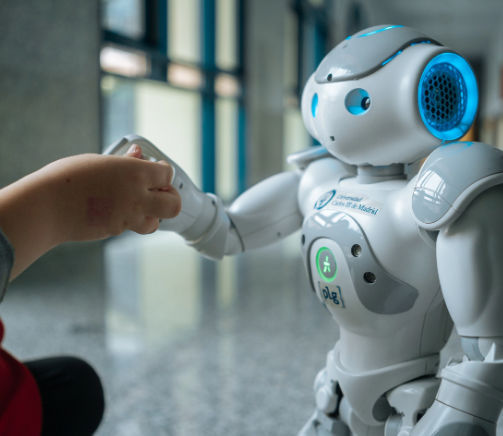 Social companion robot - INROBICS SOCIAL ROBOTICS, S.L.L. - humanoid ...