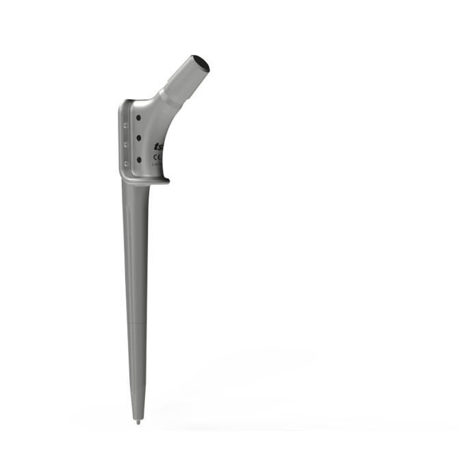 Cementless femoral stem - TST Othopedics