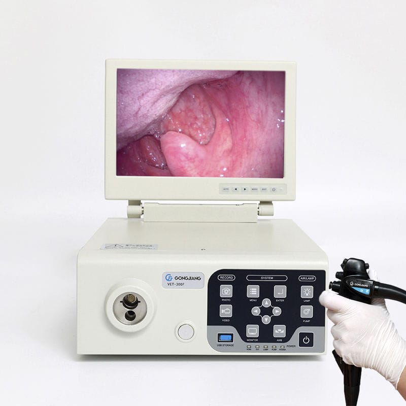 Veterinary endoscopy video processor - VET-300FM - Gongjiang Endoscopy ...