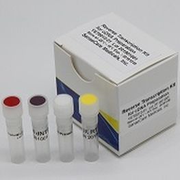 Reverse transcriptase reagent kit - YST0010 series - Guilin Yourui ...