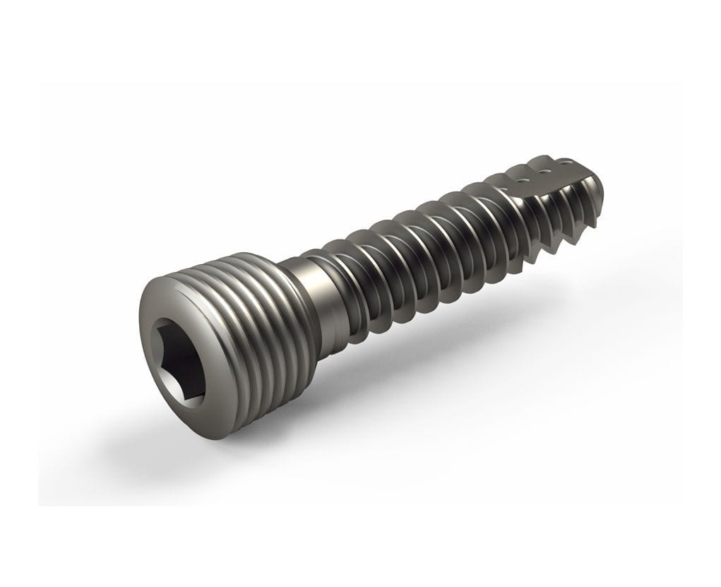 Small bone fragment compression bone screw - 2T1-11813512 - Ases ...