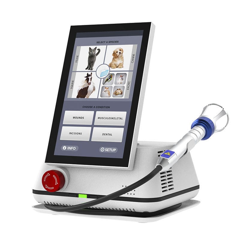 Veterinary surgery laser - Angelas™ - Qolight Medical Laser - veterinary biostimulation / diode ...