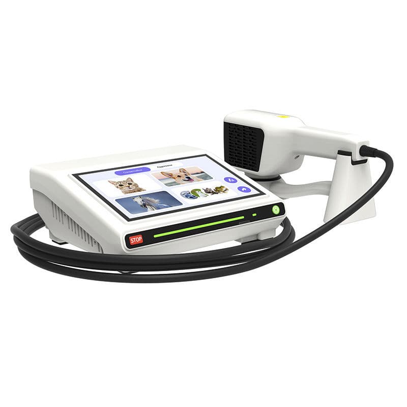 Veterinary biostimulation laser - Phylas™ - Qolight Medical Laser ...