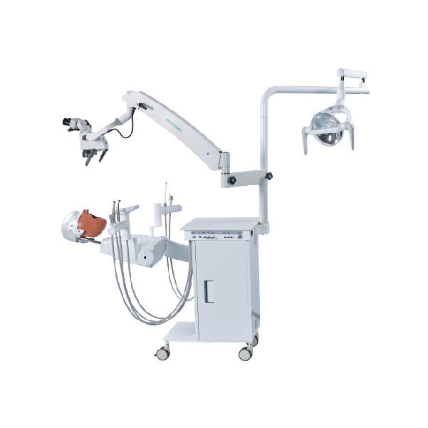 Teaching simulator - Bondent GmbH - dental / head / workstation