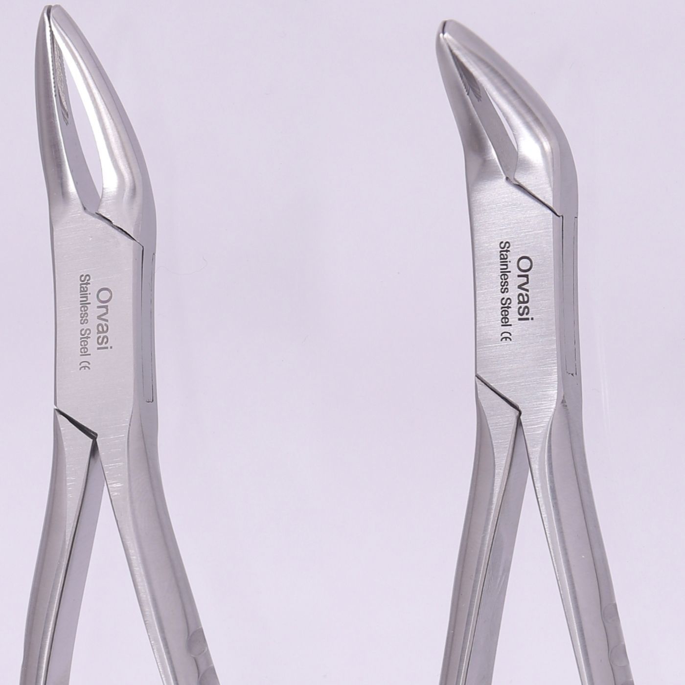 Tooth root extraction forceps - Orvosi instruments - fragment / Witzel