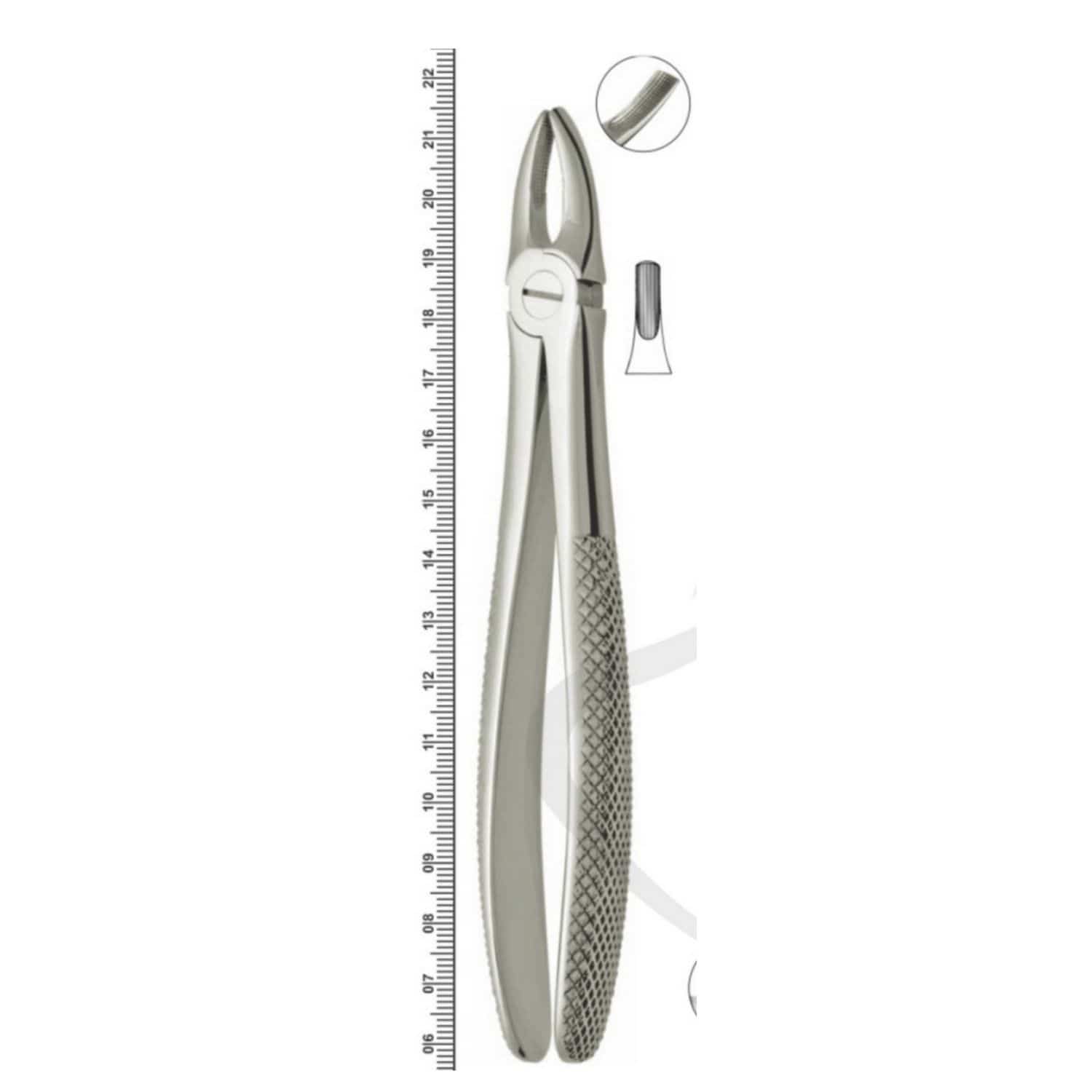 Incisor extraction forceps - Orvosi instruments - English pattern