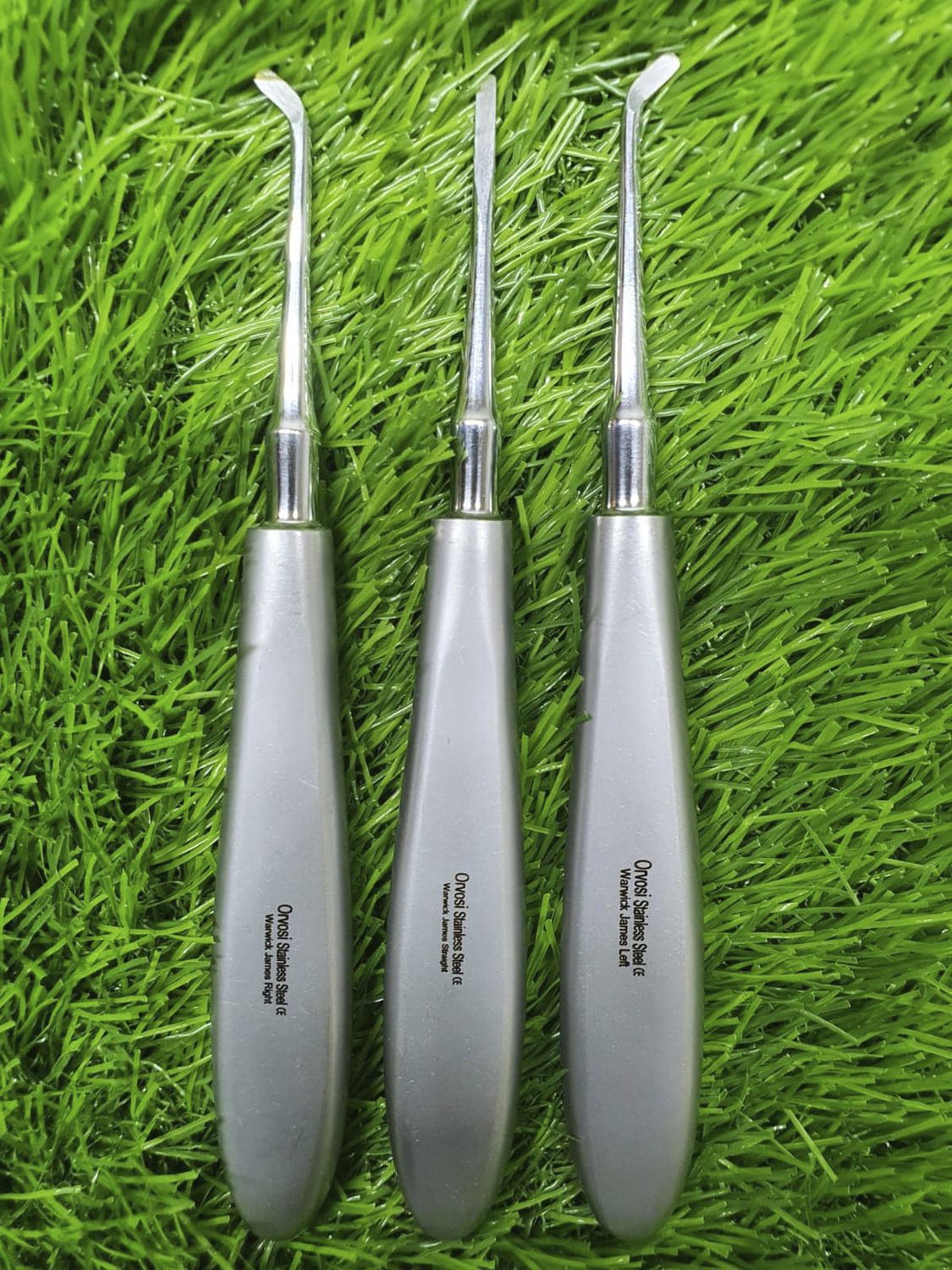 Straight dental root elevator - Orvosi instruments - adult / microsurgery