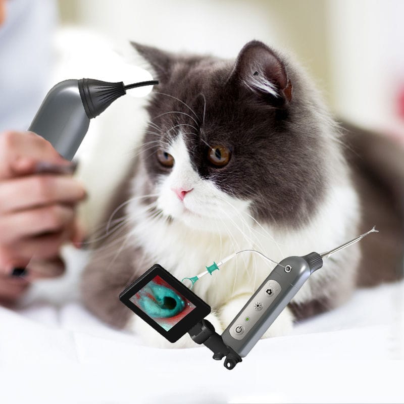Video veterinary otoscope - JZVet-CH02 - JZ Biotech - for small animals ...