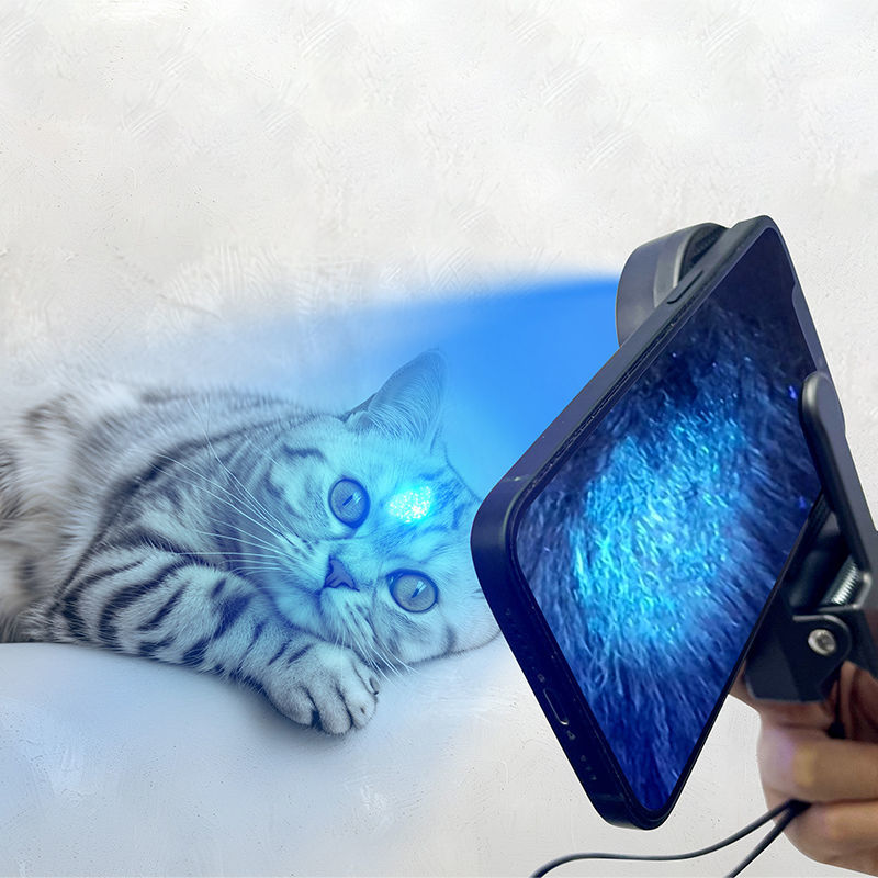 Hand-held Wood lamp - JZVET-WL01 - JZ Biotech - UV light