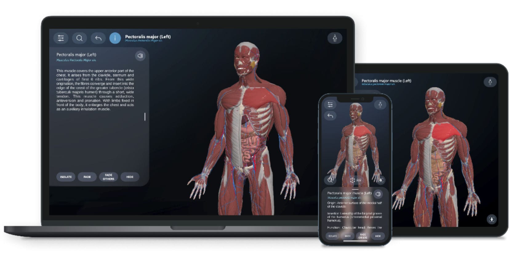 3d Virtual Human Anatomy Studio