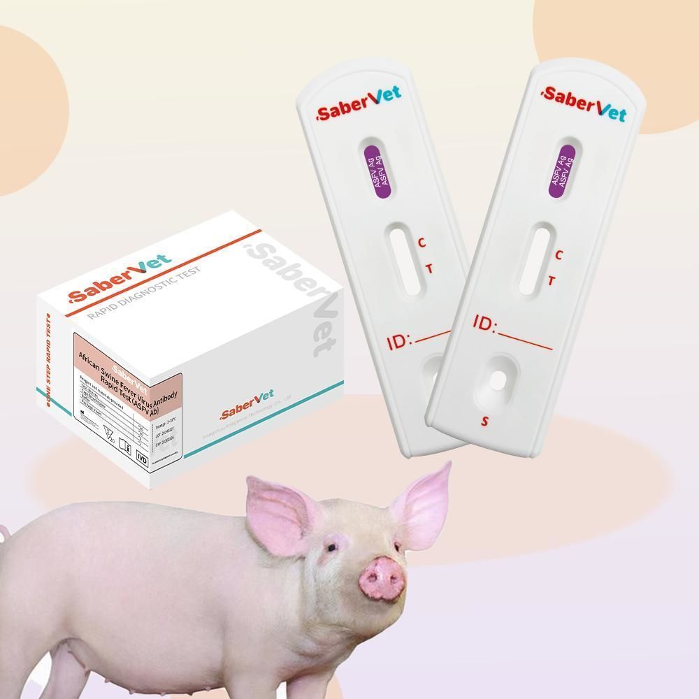 Rapid infectious disease test - SaberVet ASFV Ag - Hangzhou Antigenne ...