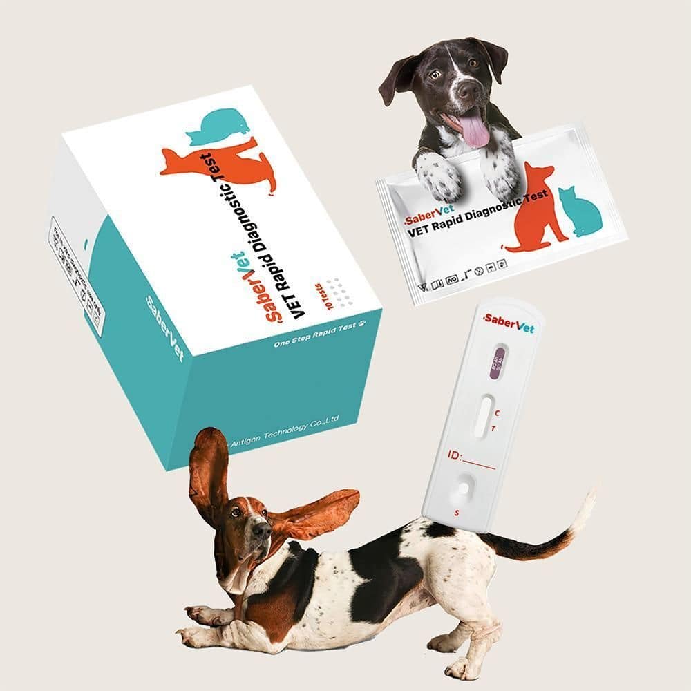 Rapid infectious disease test - Sabervet BC Ab - Hangzhou Antigenne ...