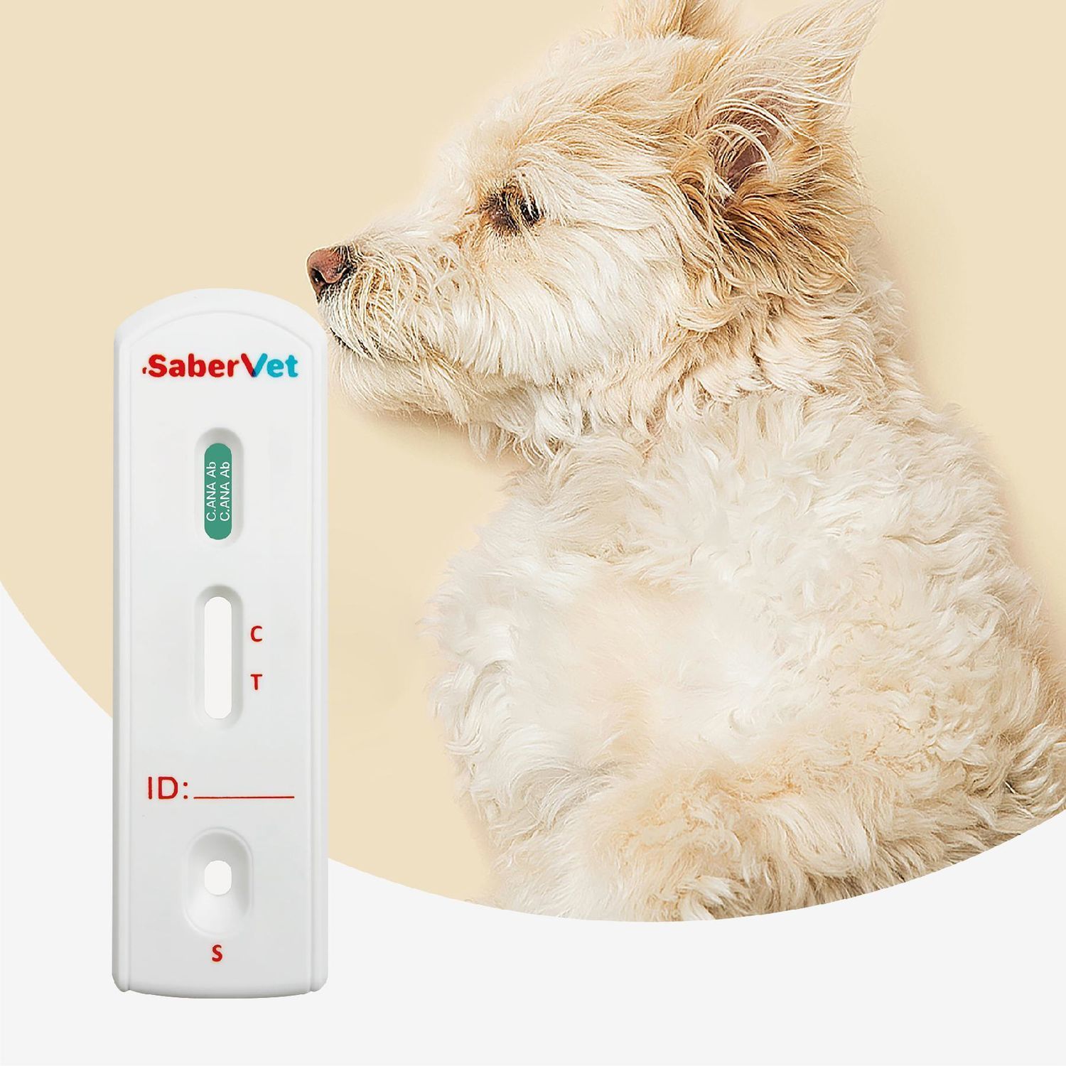 Rapid infectious disease test - Sabervet C.ANA Ab - Hangzhou Antigenne ...