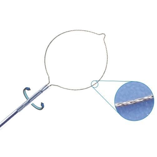 Intestinal polyp extraction endoscopic basket - ScopeSnare - Creo ...