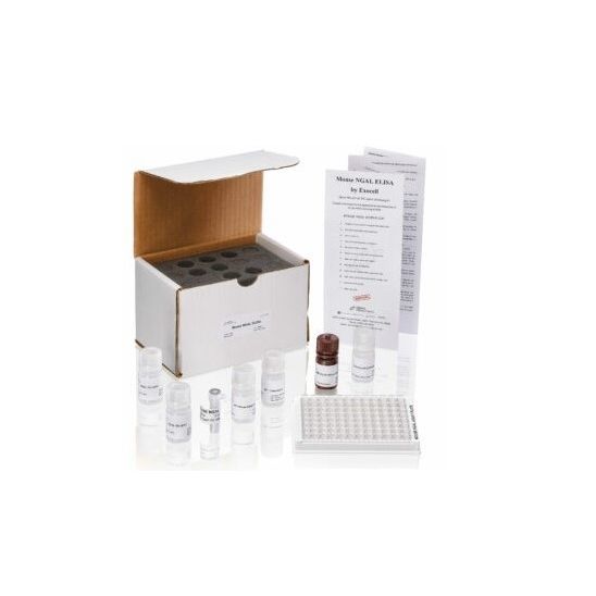ELISA kit - Ethos - Ethos Biosciences - for research / NGAL / serum