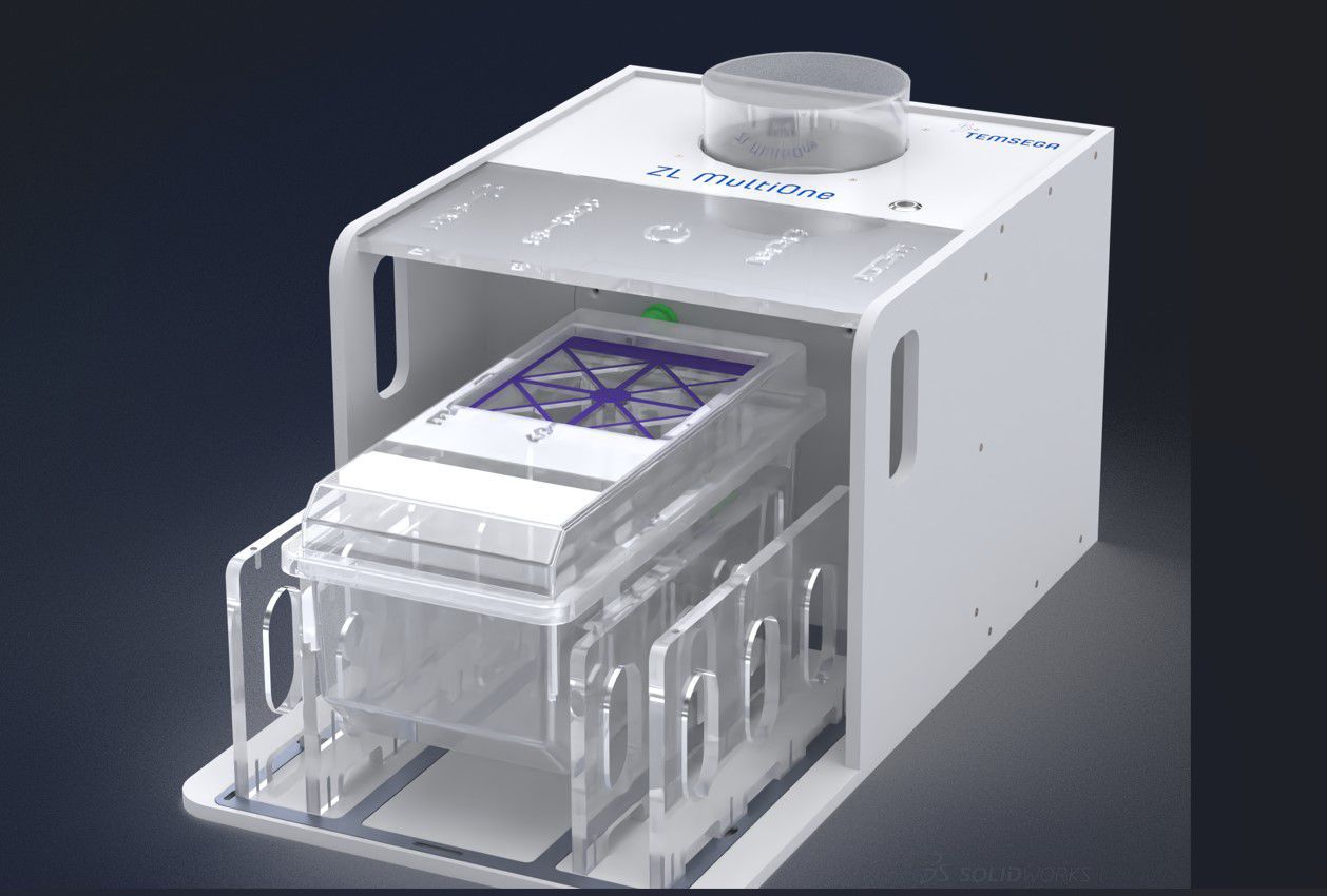 Euthanasia induction chamber - MultiONE - TEMSEGA