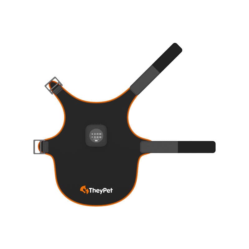 LED lamp - Dog Pad - Hubei Theypet Technology - light therapy ...