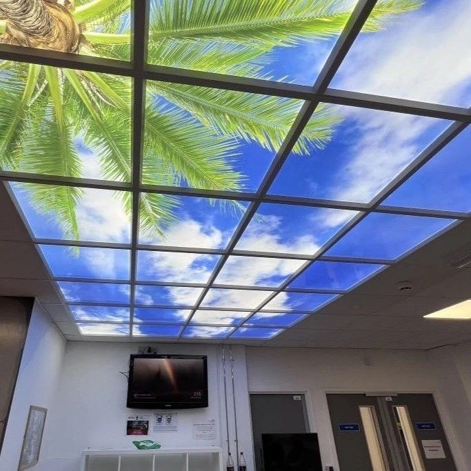 Hospital LED panel - Aspire - wall-mount / recessed / with graphic ...