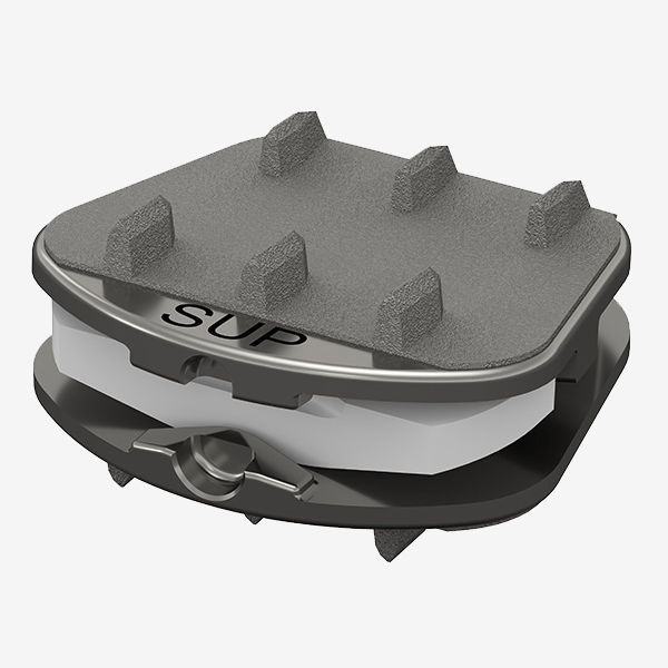 Cervical disc prosthesis - Synergy Spine Solutions