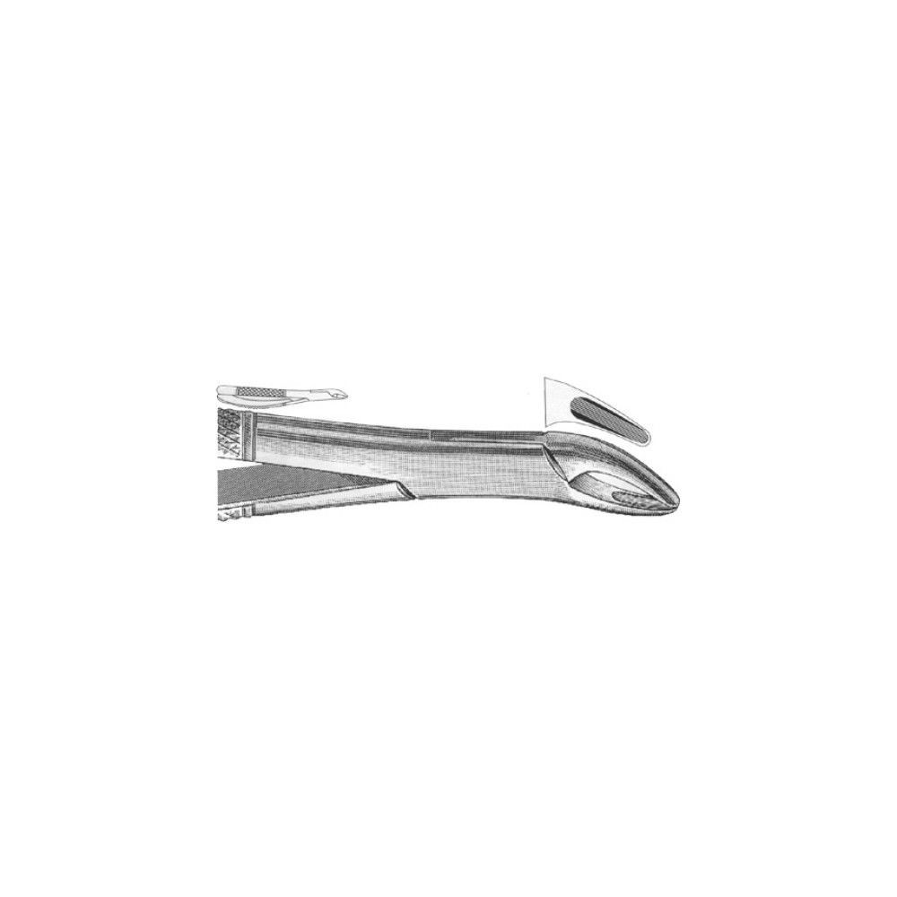 Veterinary dental extraction forceps - 54328001 - HK Medical ...