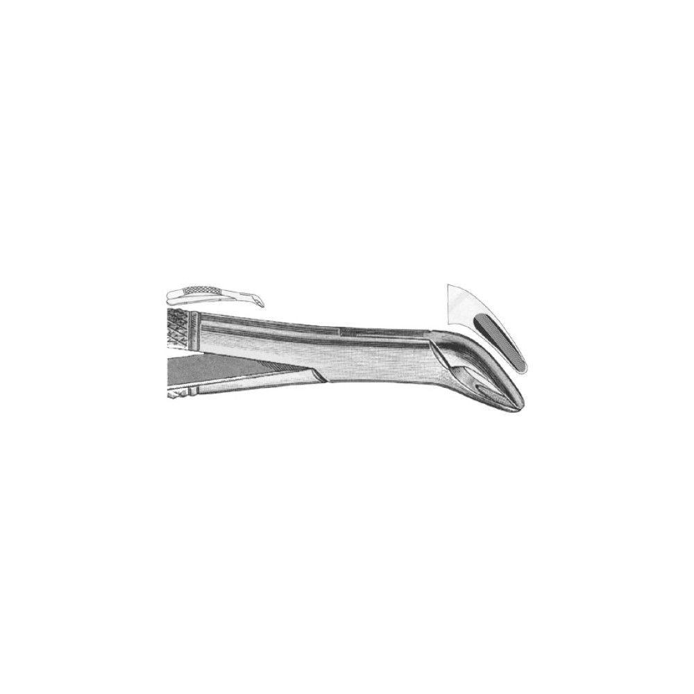 Veterinary dental extraction forceps - 54330001 - HK Medical ...