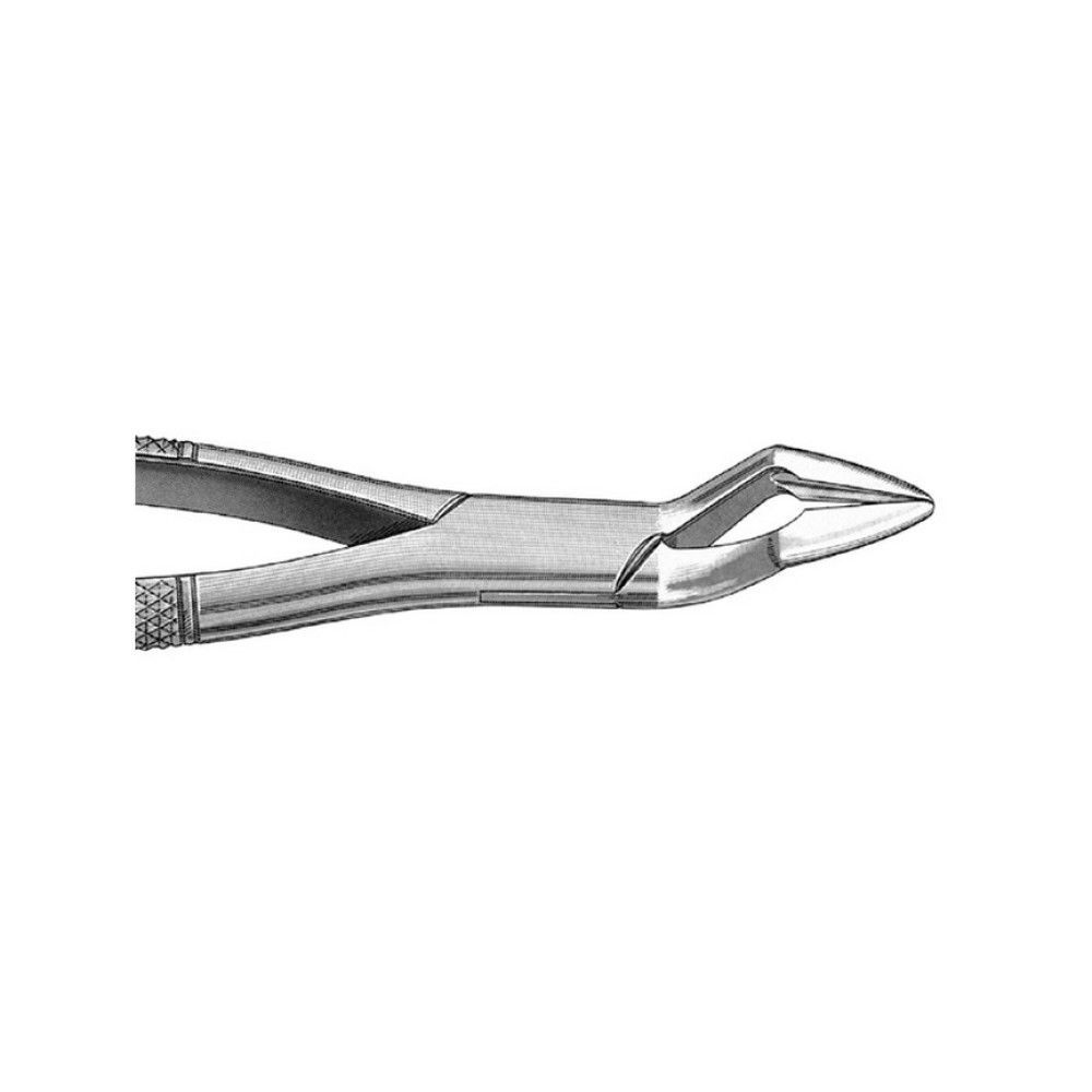 Veterinary dental extraction forceps - 54304001 - HK Medical ...
