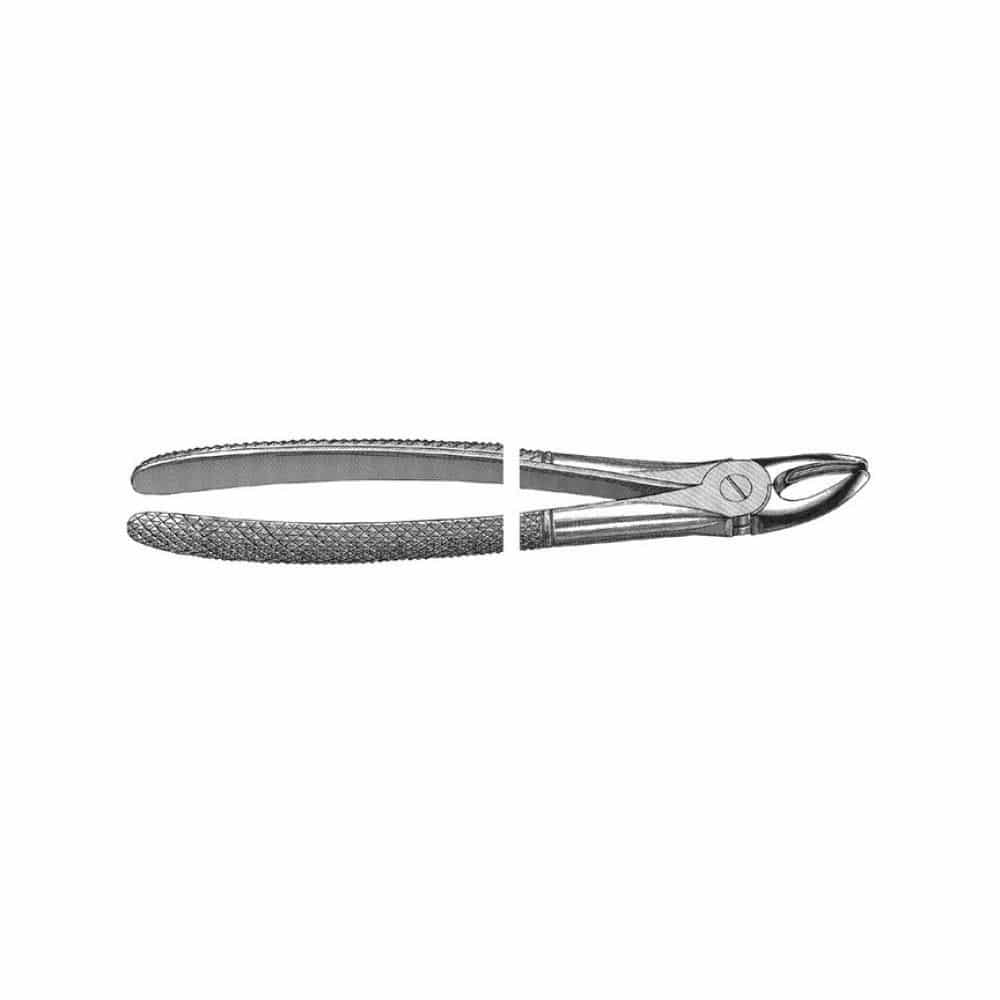 Veterinary dental extraction forceps - 54010001 - HK Medical ...