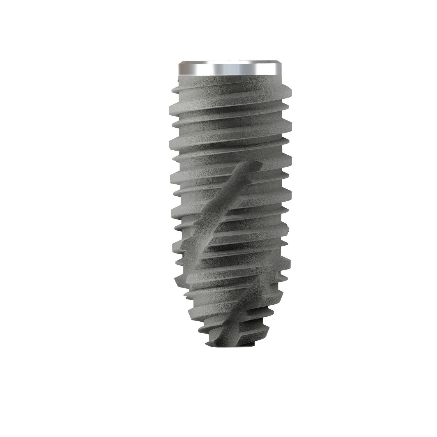 Conical dental implant - UNIVERSE BLS - IML Swiss Dental Implants ...
