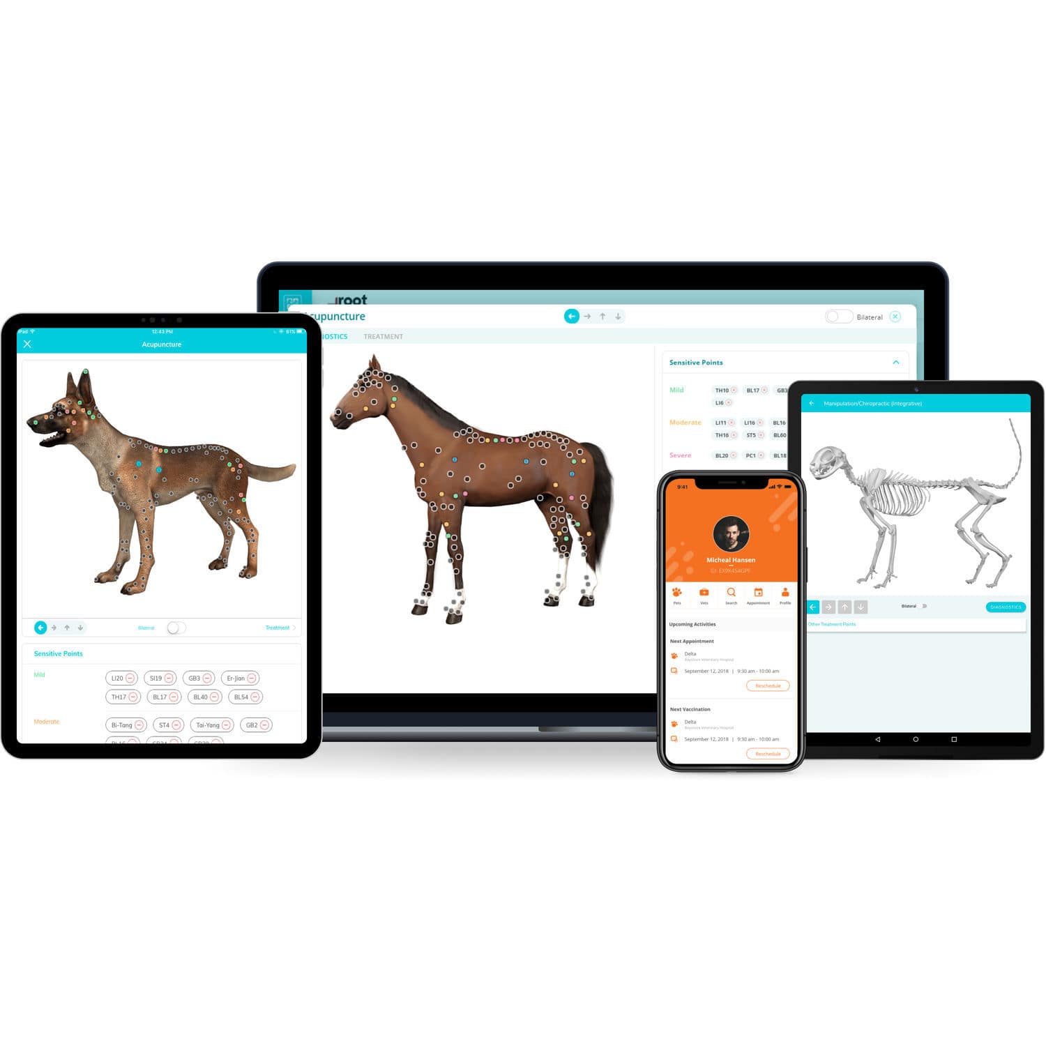 Management software - AcuroVet® - ArcNovo Tech - medical / PET / veterinary