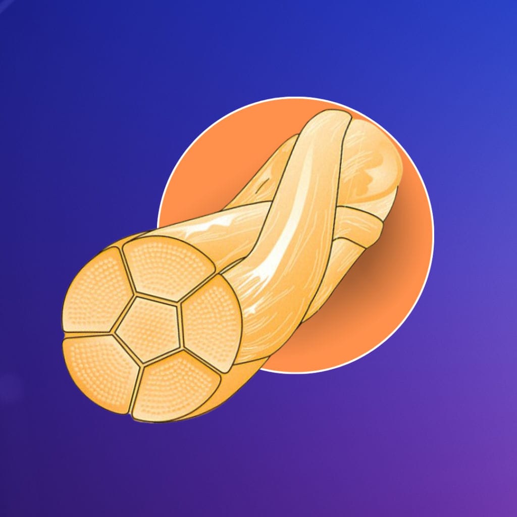 Absorbable suture thread - Medsorb Fast - SKY Biotechnology - pediatric ...