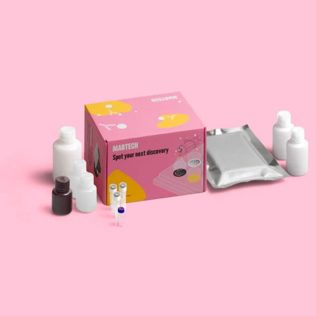 Research test kit - 3560-1HP-DP-1 - Mabtech - rheumatoid factor / serum ...